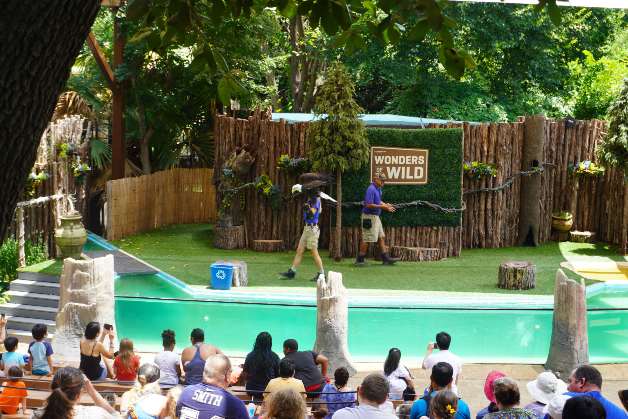 The Top 3 Reasons To Visit The Dallas Zoo - WrightFahions